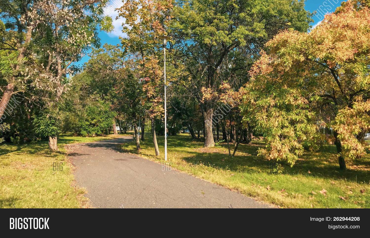 Autumn Trees Park Image & Photo (Free Trial) | Bigstock