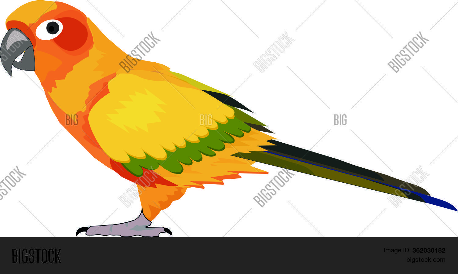 Vector Illustration Vector & Photo (Free Trial) | Bigstock