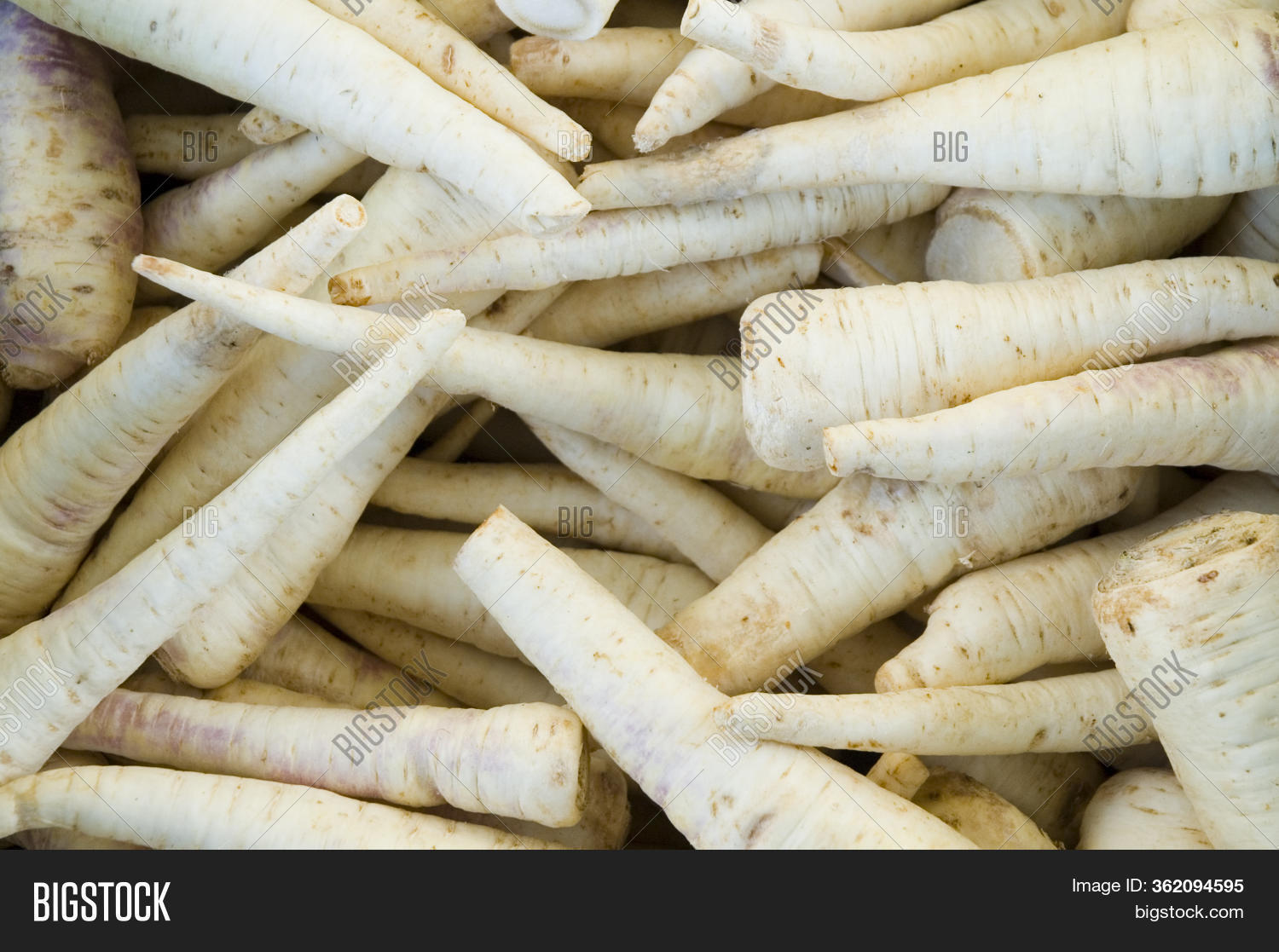 Fresh White Parsnips Image & Photo (Free Trial) | Bigstock
