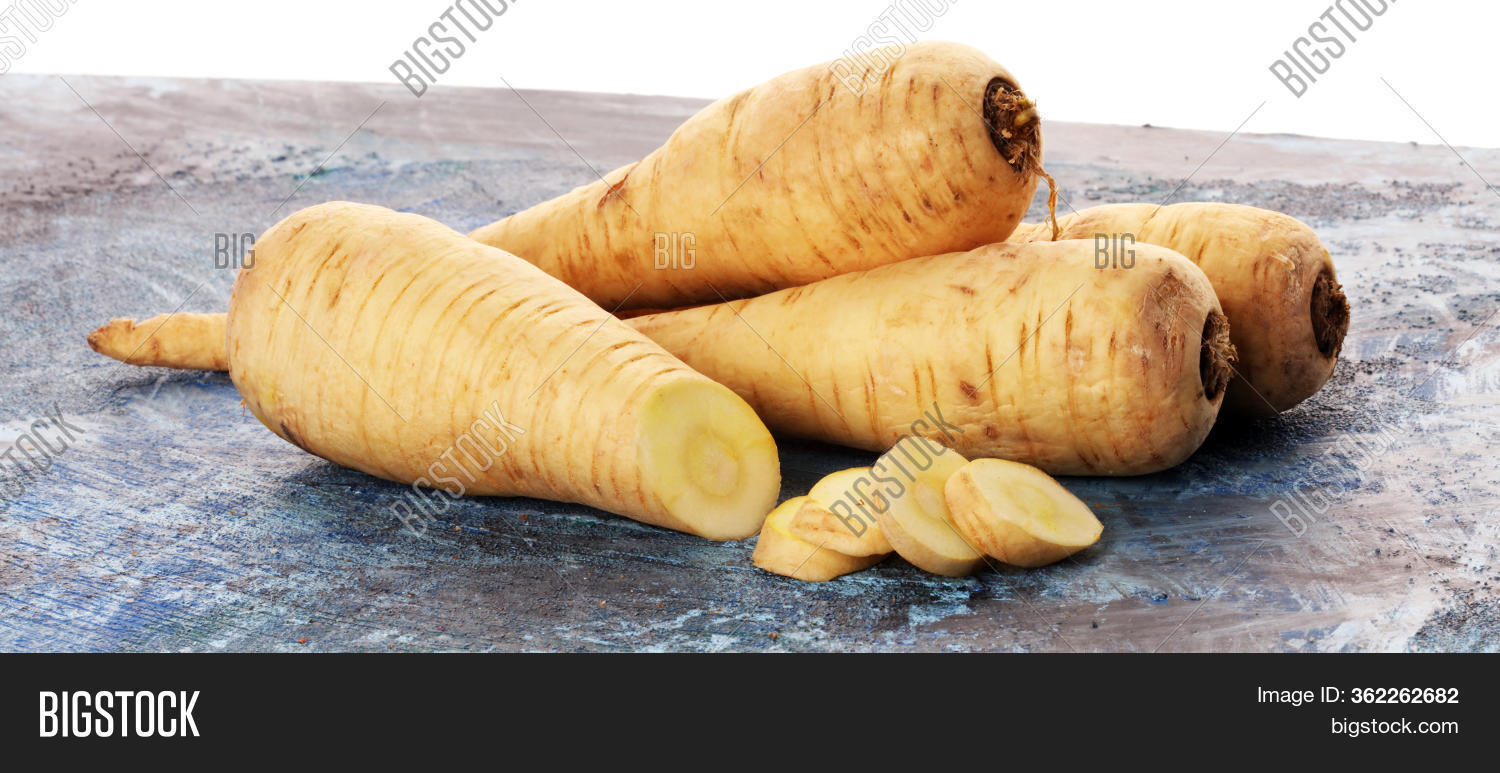Parsnip Root Slices On Image & Photo (Free Trial) | Bigstock