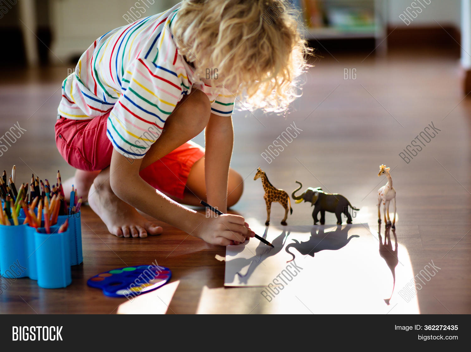 Child Shadow Drawing Image & Photo (Free Trial) | Bigstock