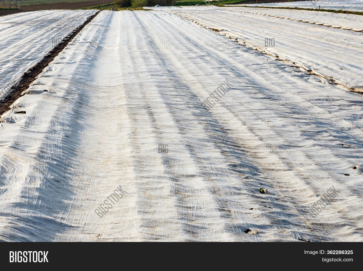 Freshly Plowed Field Image & Photo (Free Trial) | Bigstock