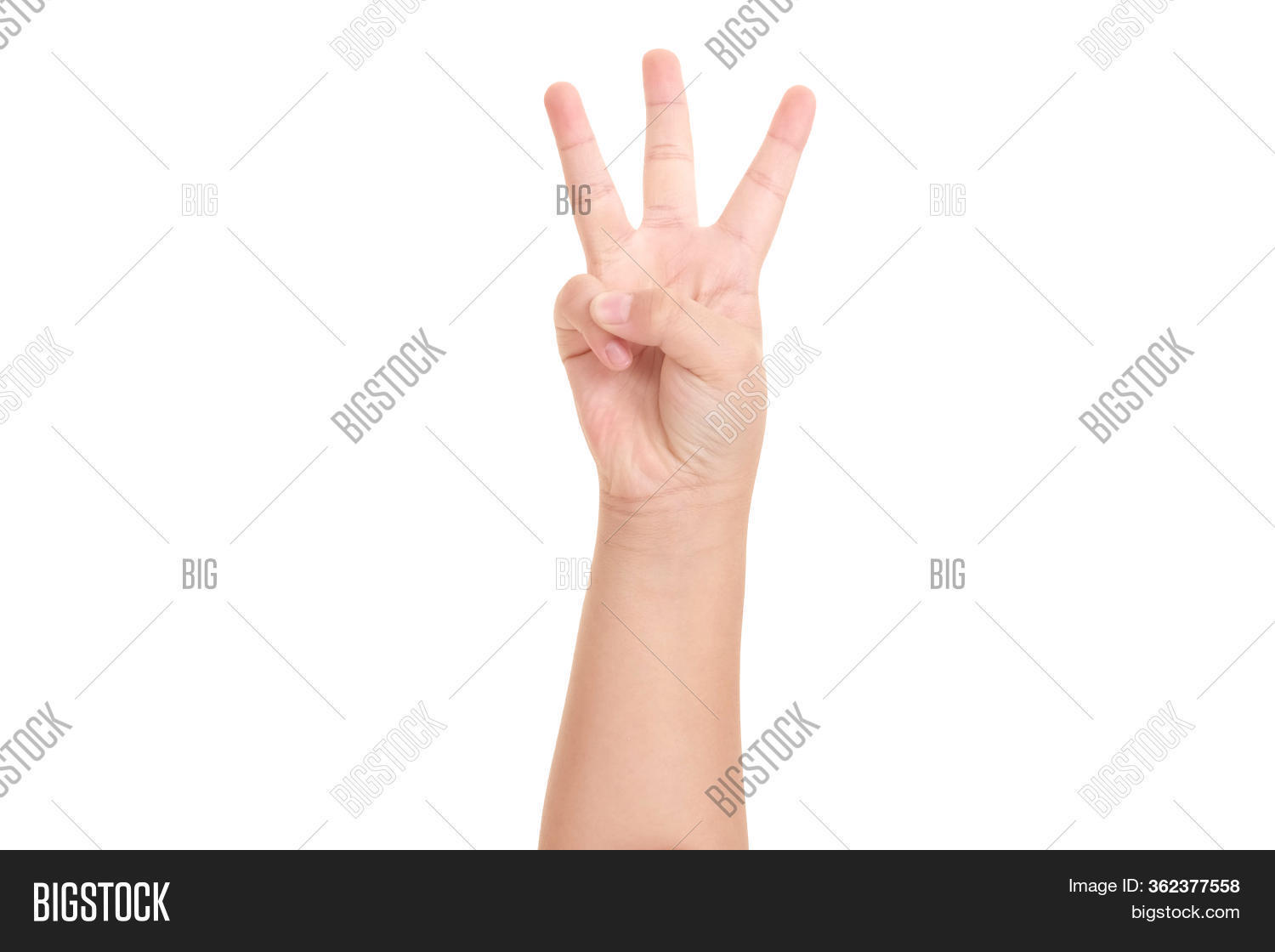 Boy Hand Show 图片和照片（免费试用） | Bigstock