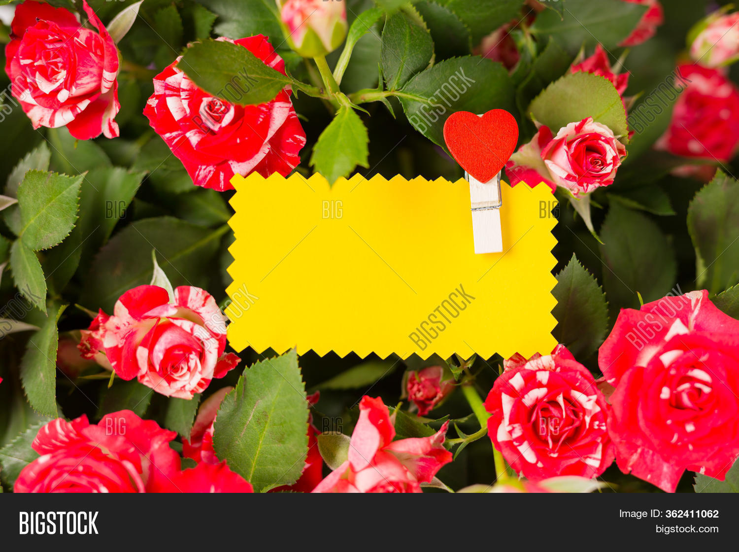 Blank Yellow Greeting Image & Photo (Free Trial) | Bigstock