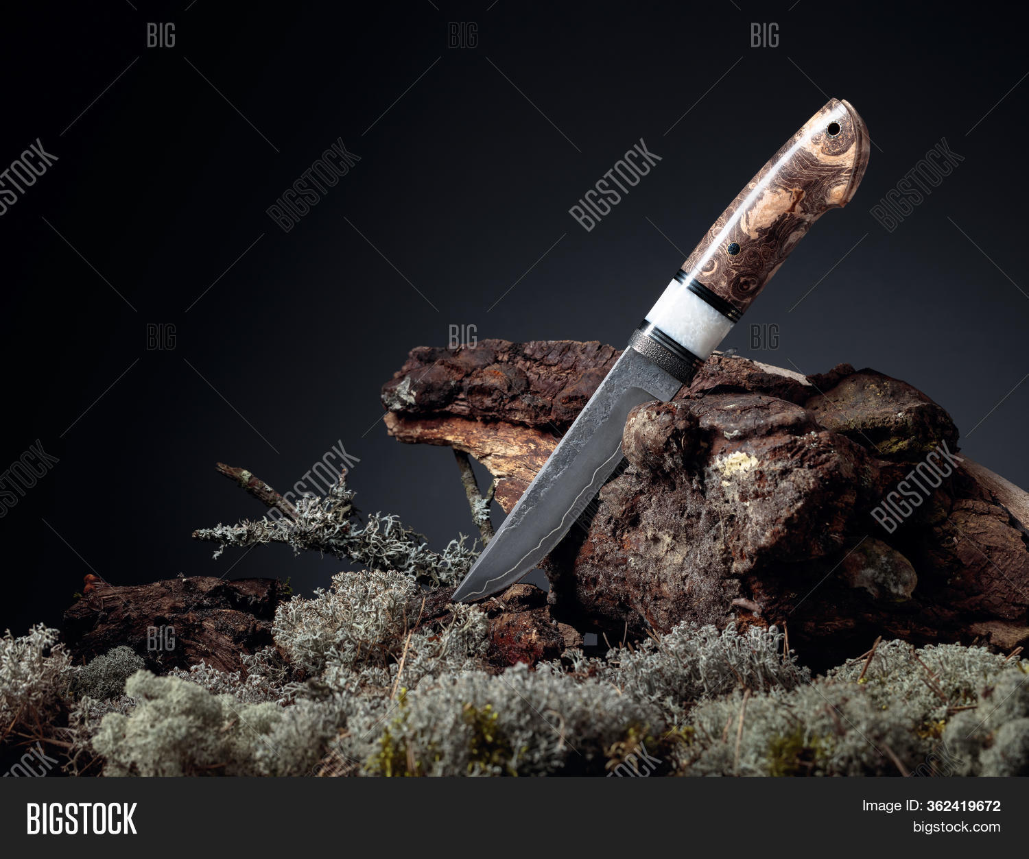 Hunter Combat Hand Image & Photo (Free Trial) | Bigstock