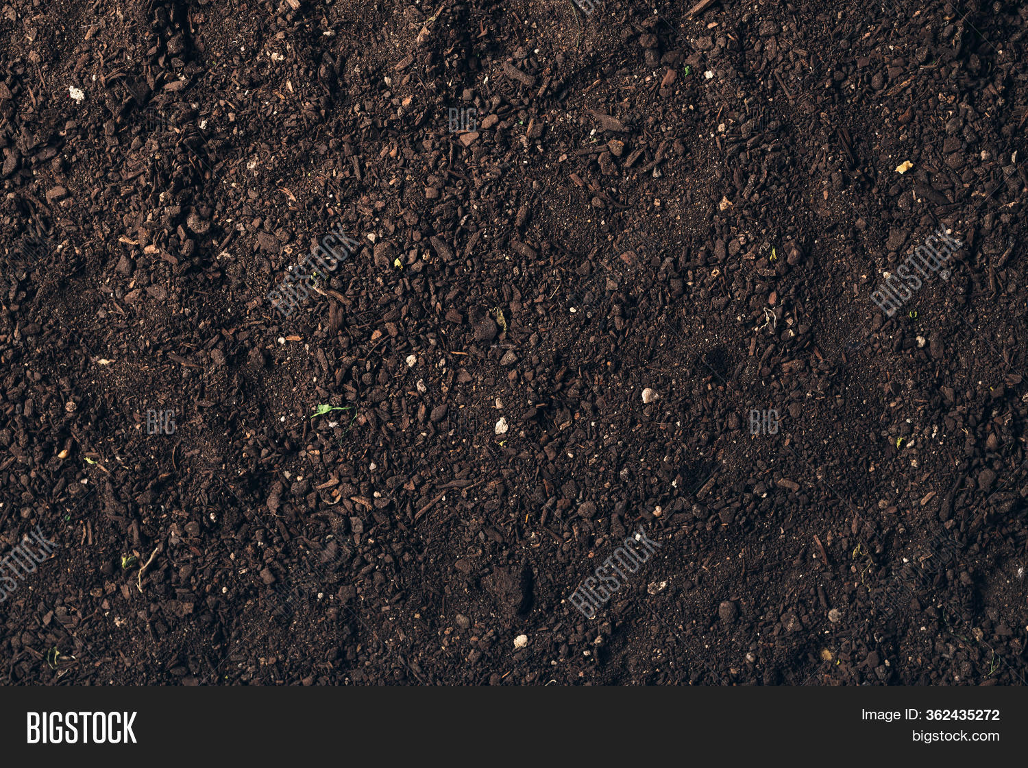 Botany Humus Compost Image & Photo (Free Trial) | Bigstock
