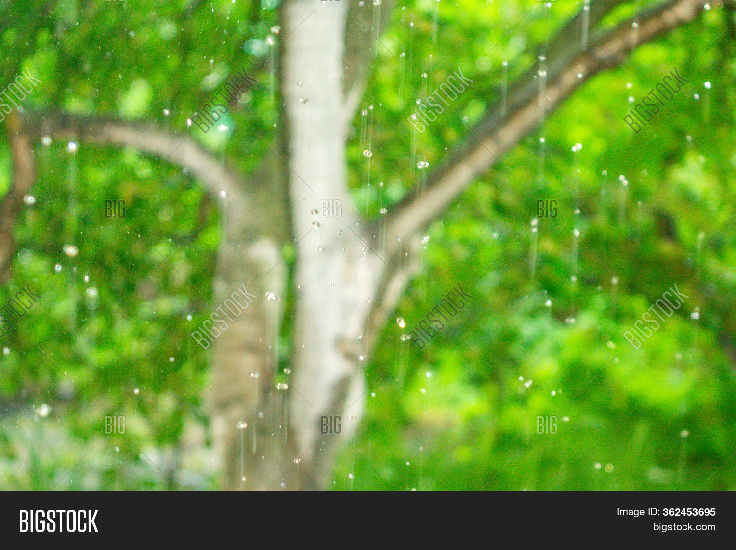 Rain On Blurred Image & Photo (Free Trial) | Bigstock