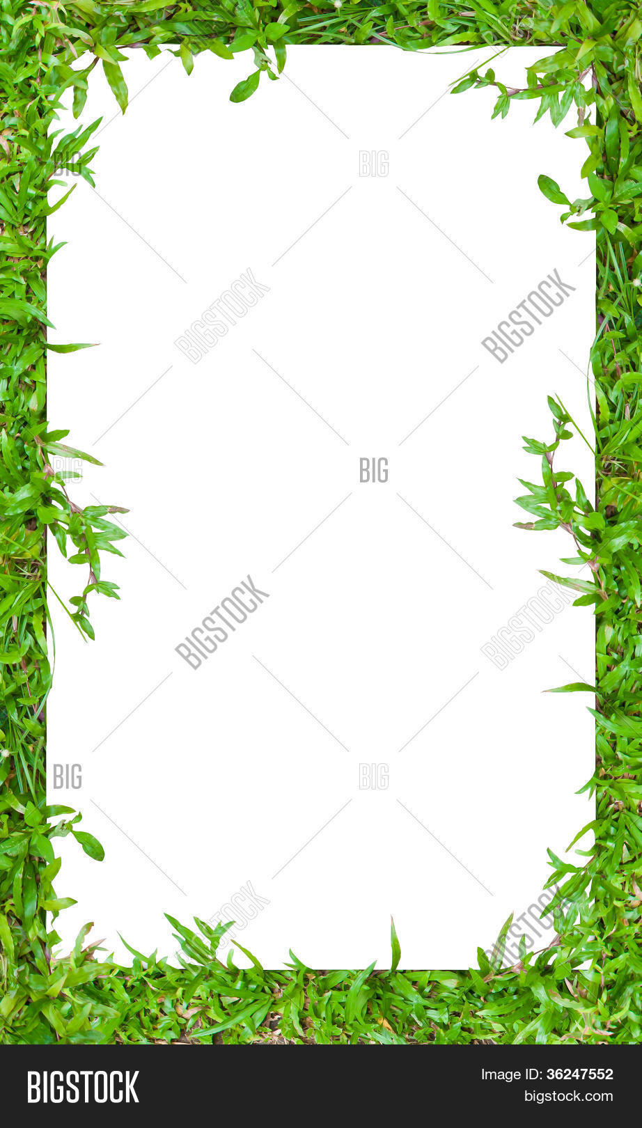 Portrait Grass Border Image & Photo (Free Trial) | Bigstock