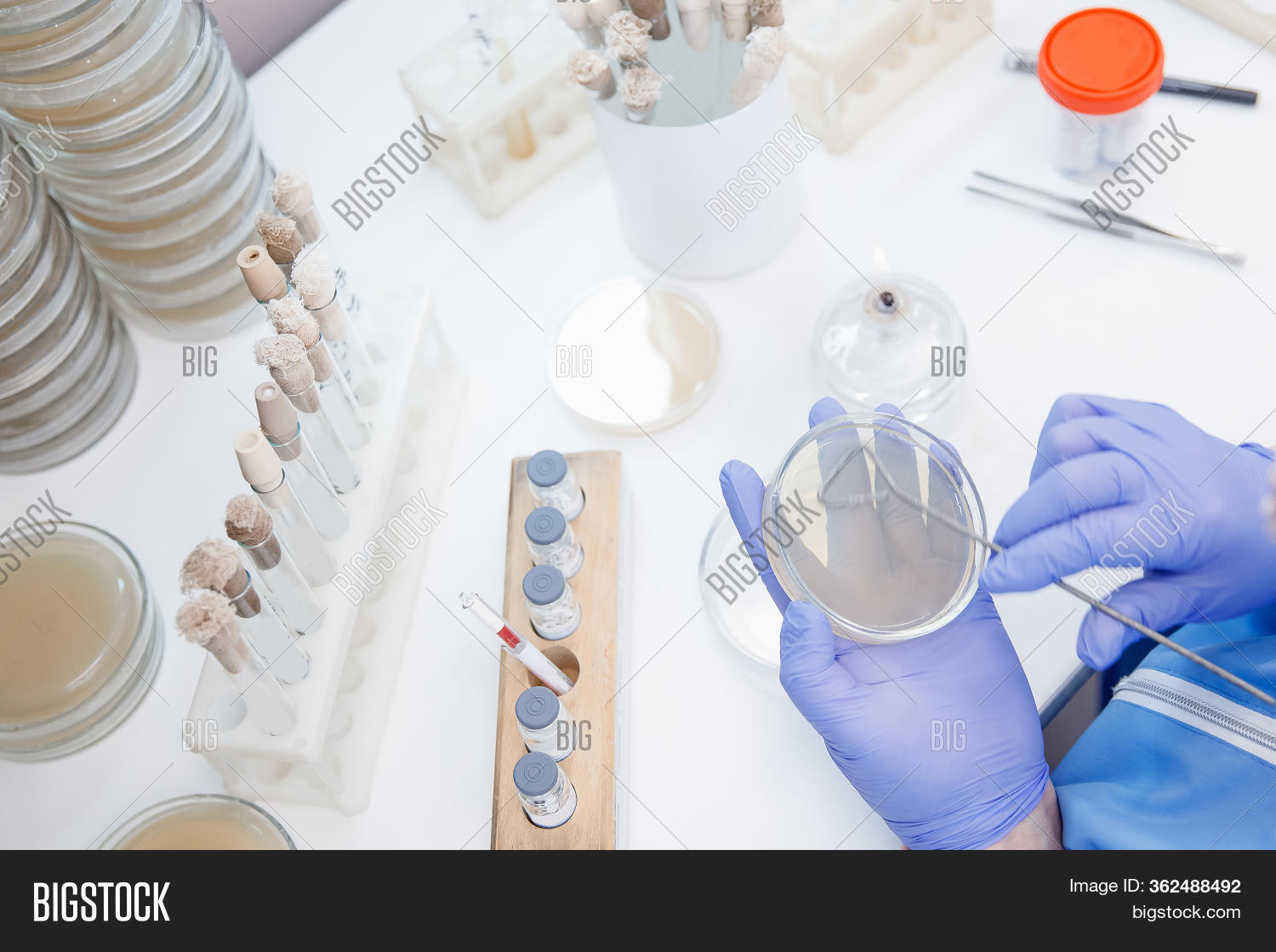 Microbiology Image & Photo (Free Trial) | Bigstock
