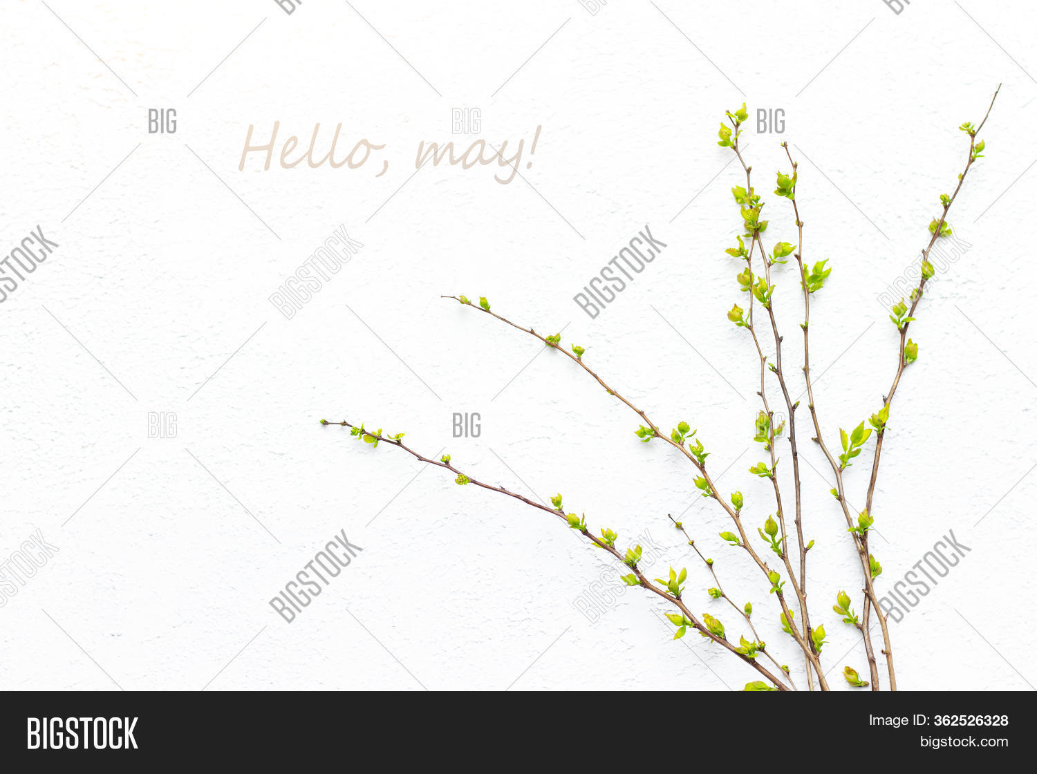 Hello, May May Banner Image & Photo (Free Trial) | Bigstock