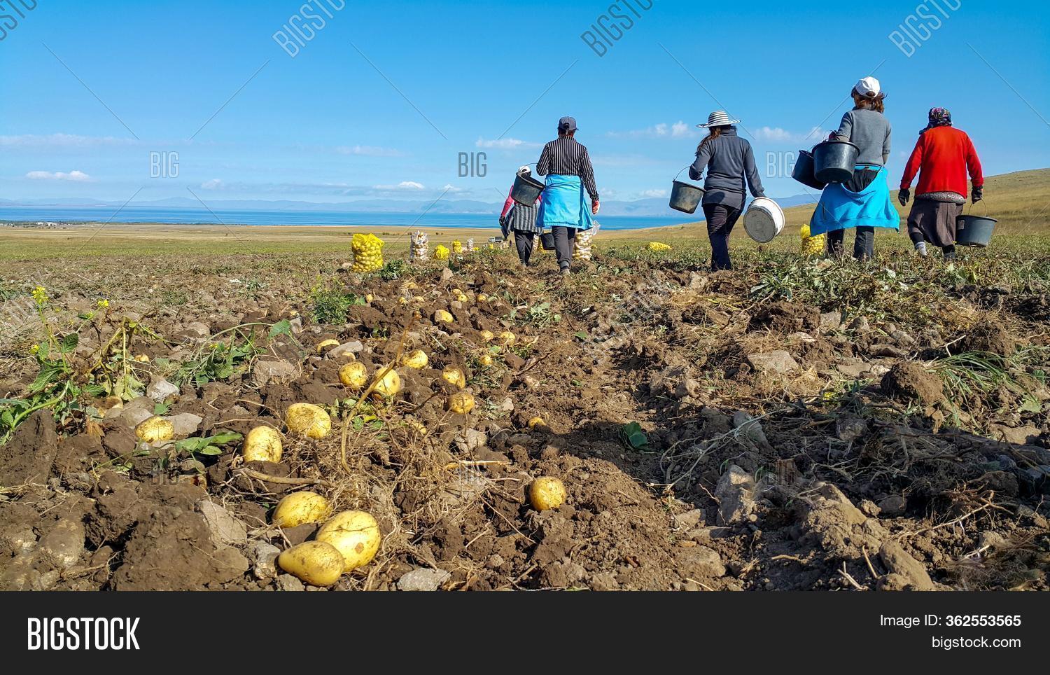 Workers Go Eat After Image & Photo (Free Trial) | Bigstock