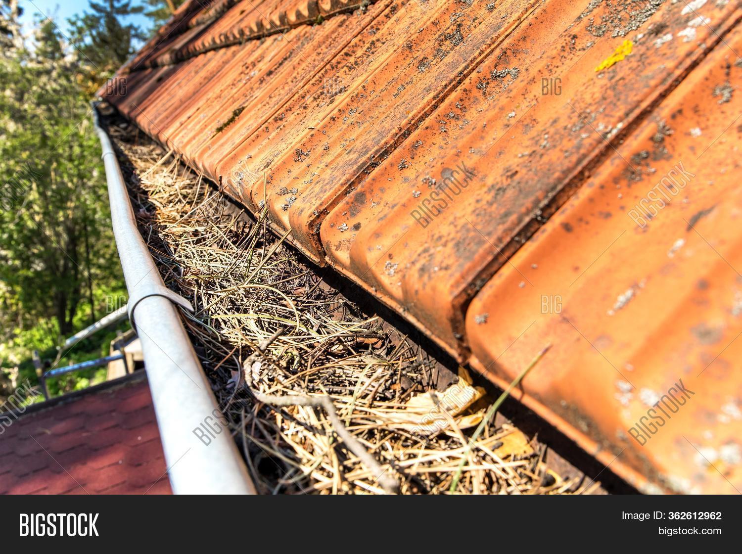 Gutters Full Debris Image & Photo (Free Trial) | Bigstock