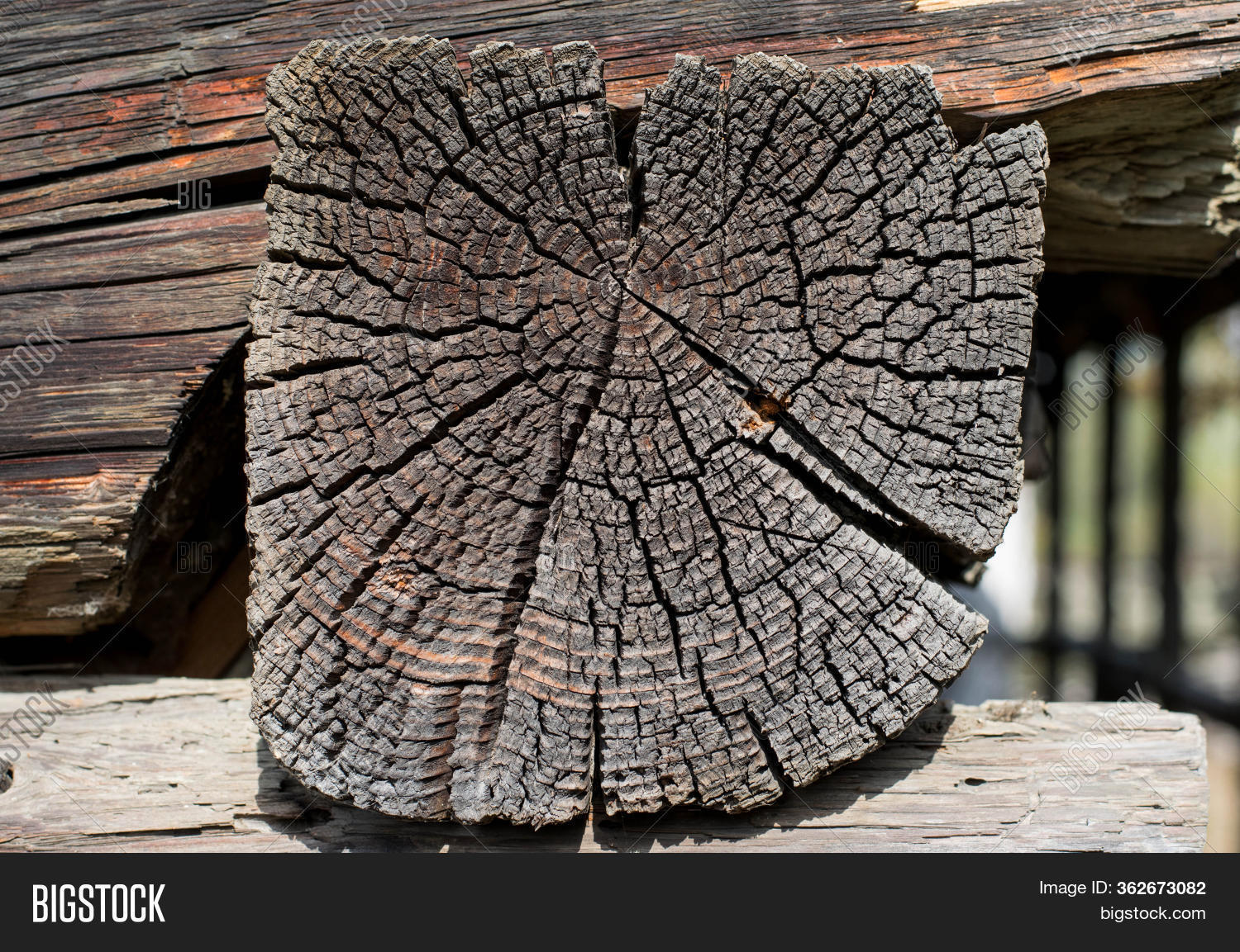 Old Eroded Wood Image & Photo (Free Trial) | Bigstock