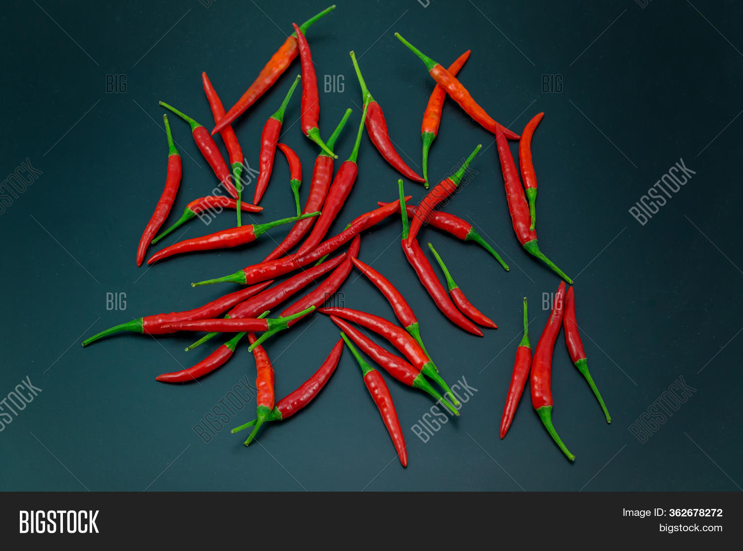 Red Chilli On Black Image & Photo (Free Trial) | Bigstock