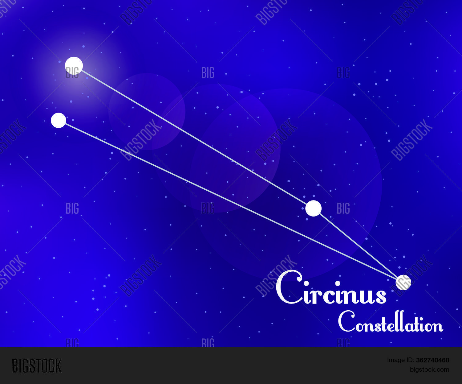 Circinus Vector & Photo (Free Trial) | Bigstock