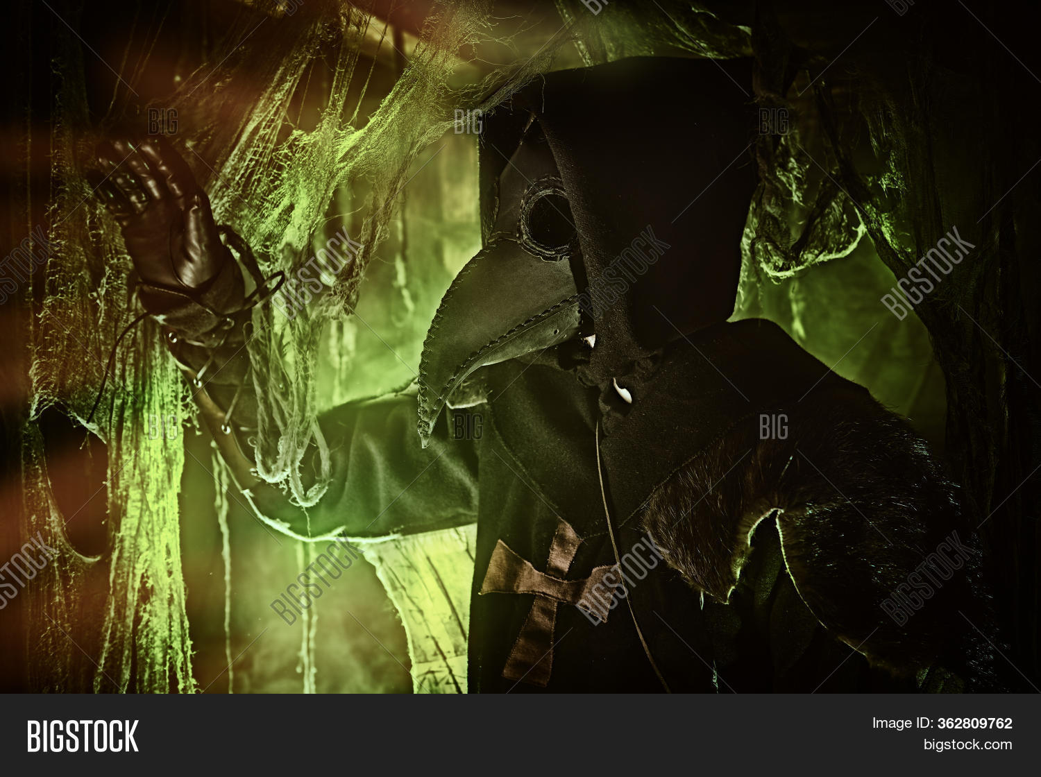 Plague Doctor Stands Image & Photo (Free Trial) | Bigstock