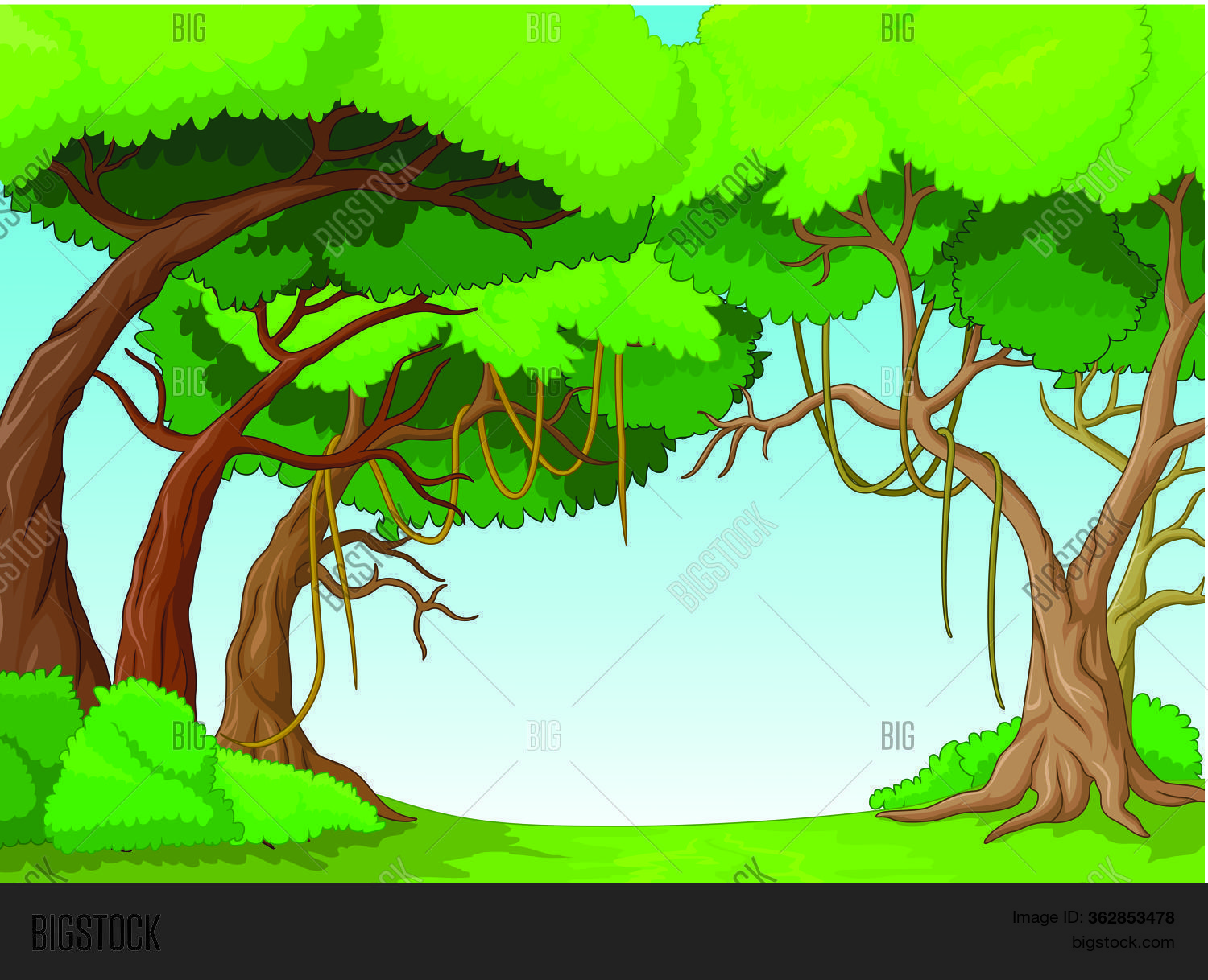 Forest View Trees Vector & Photo (Free Trial) | Bigstock