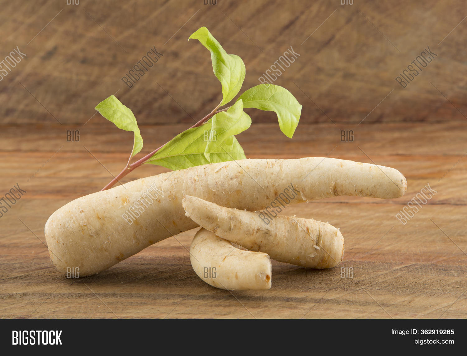 Arracacha - Arracacha Image & Photo (Free Trial) | Bigstock