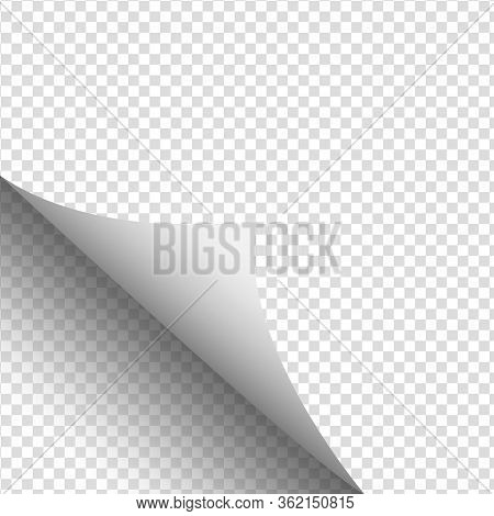 White Empty Page Vector & Photo (Free Trial) | Bigstock