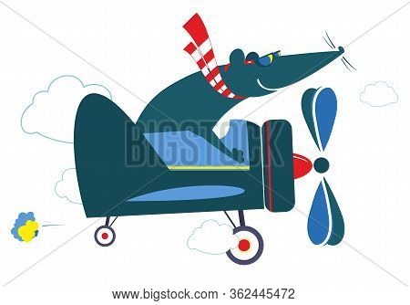 Rat Mouse Pilot On Vector & Photo (Free Trial) | Bigstock