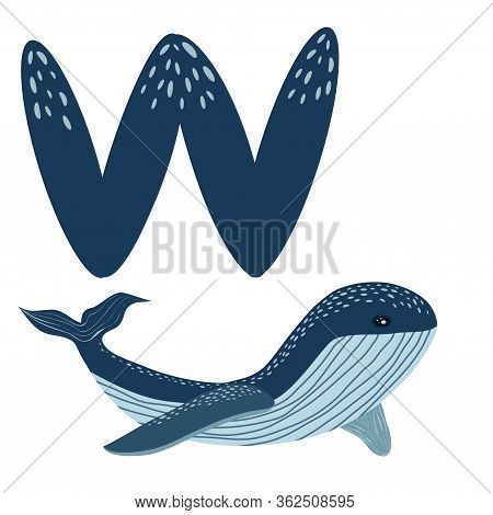 Cartoon Whale. W Vector & Photo (Free Trial) | Bigstock