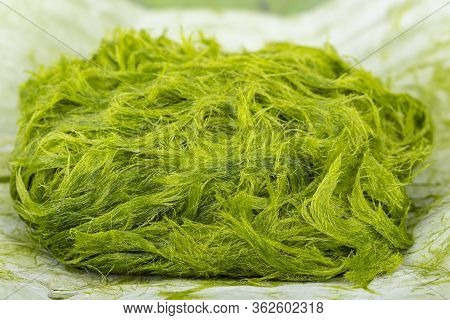 Freshwater Green Algae Image & Photo (Free Trial) | Bigstock