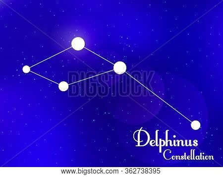 Delphinus Vector & Photo (Free Trial) | Bigstock