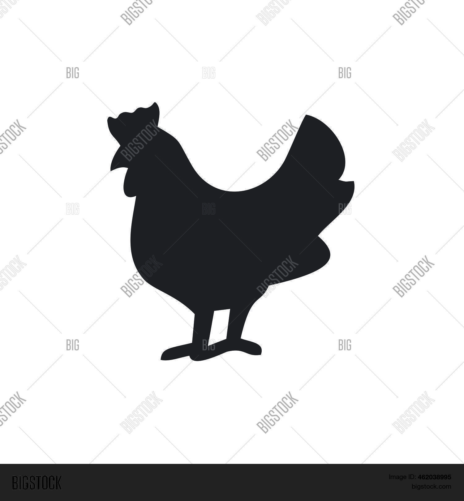 Chicken Icon Template Vector & Photo (Free Trial) | Bigstock