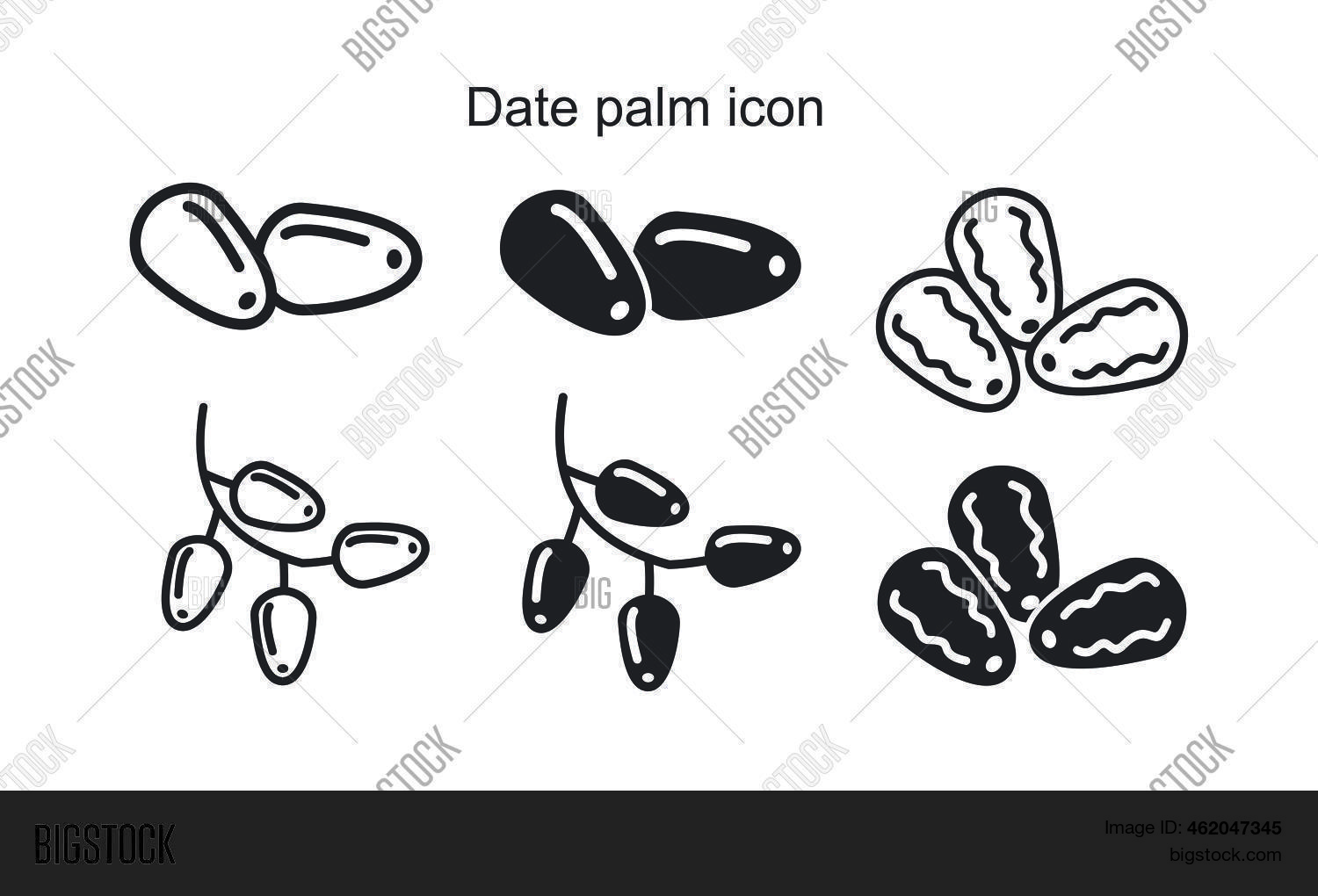 Date Palm Icon Vector & Photo (Free Trial) | Bigstock