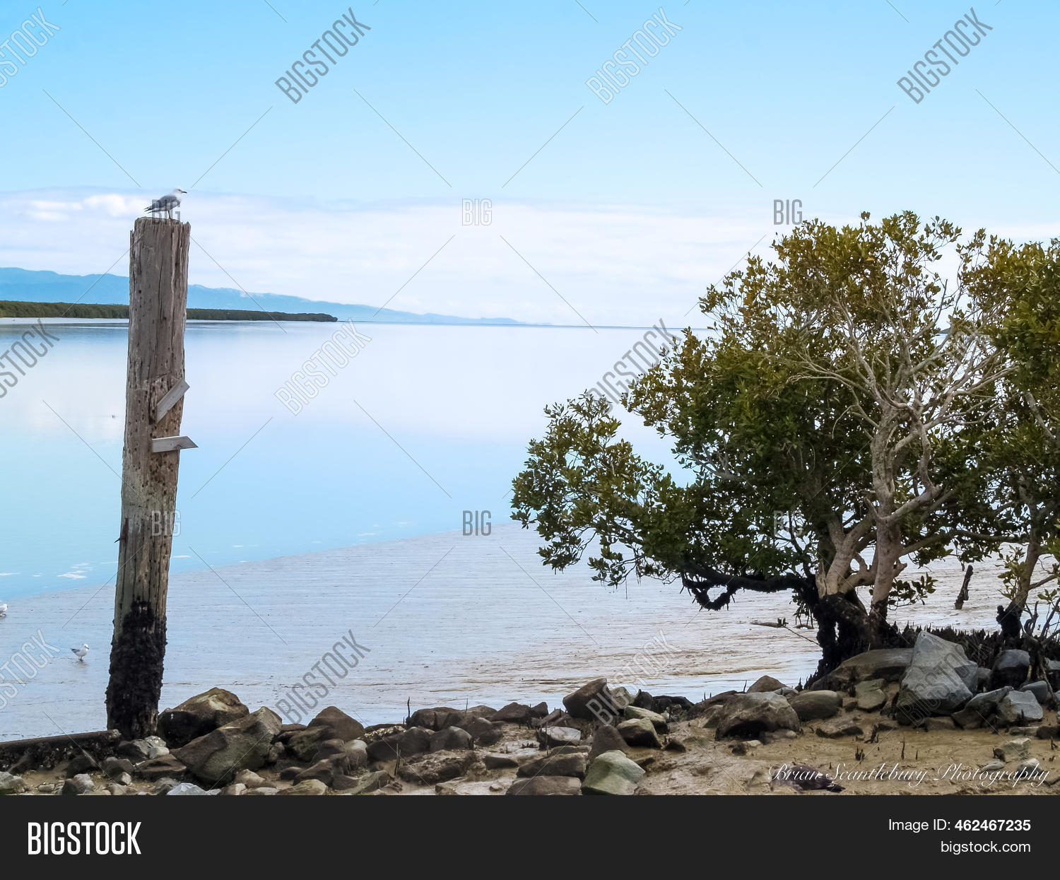 Old Jetty Post Shallow Image & Photo (Free Trial) | Bigstock