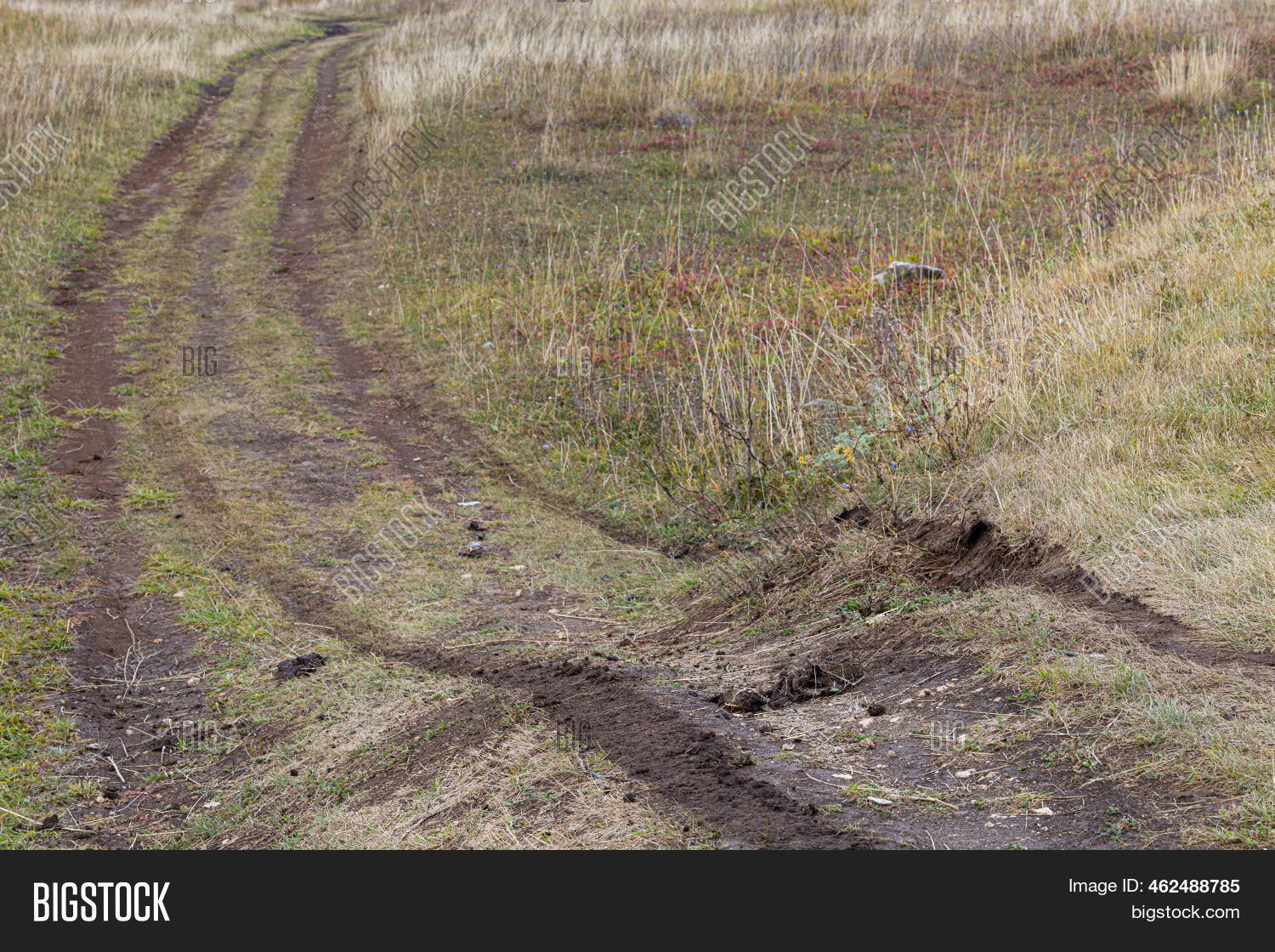Road Rut Field Traces Image & Photo (Free Trial) | Bigstock