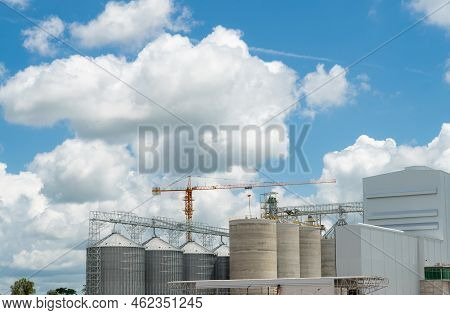 Animal Feed Factory Image & Photo (Free Trial) | Bigstock