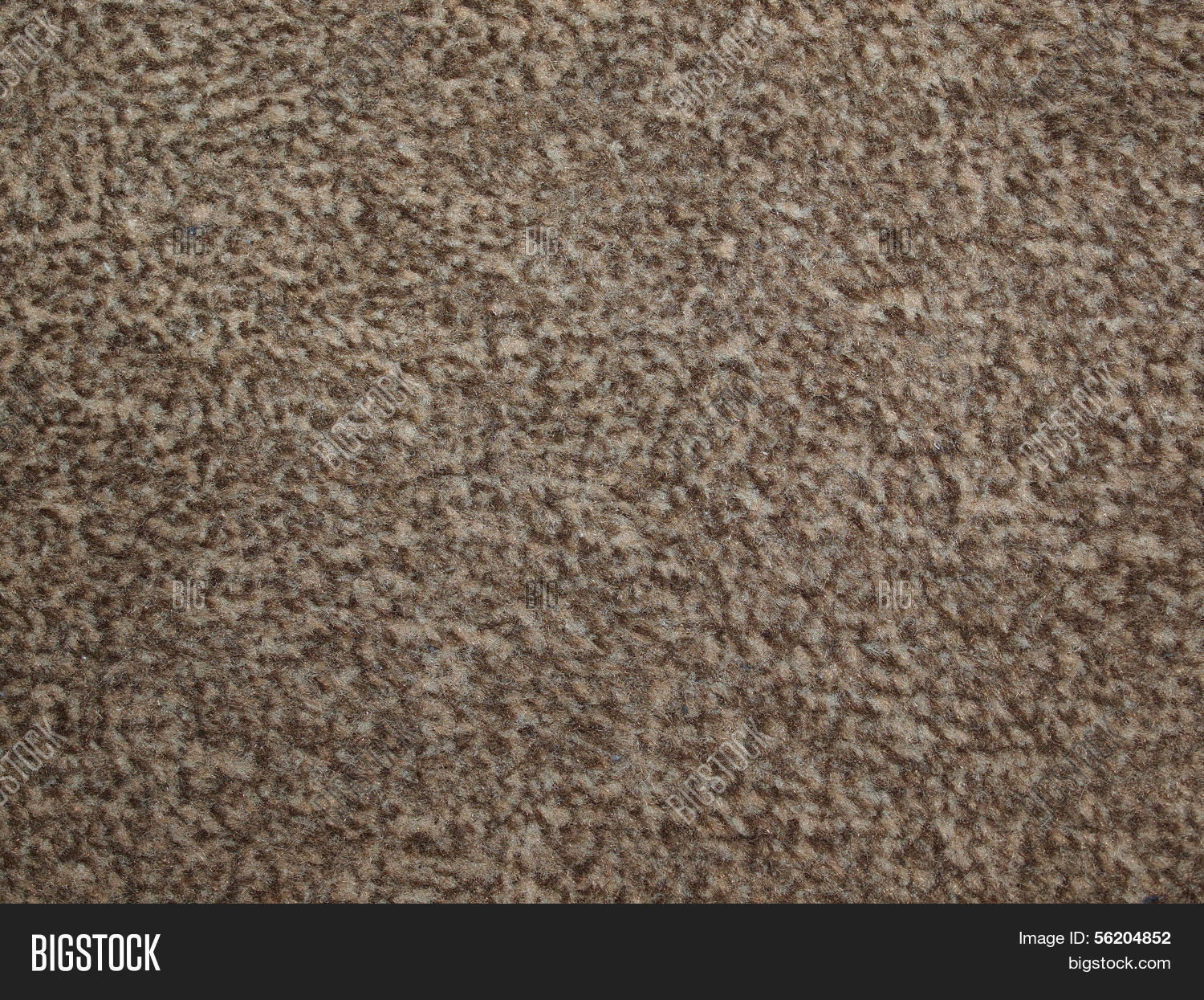 Moquette Fabric Carpet Image & Photo (Free Trial) | Bigstock