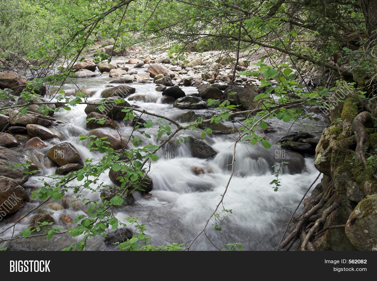 Forest River Image & Photo (Free Trial) | Bigstock
