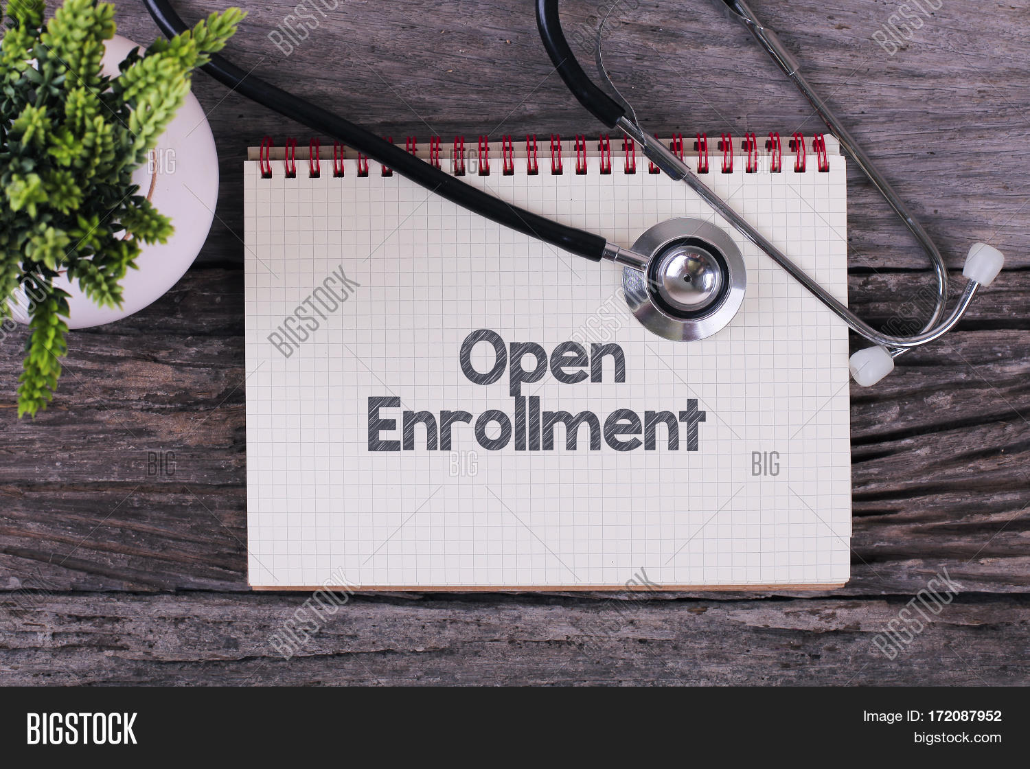 Open Enrollment Word Image & Photo (Free Trial) | Bigstock