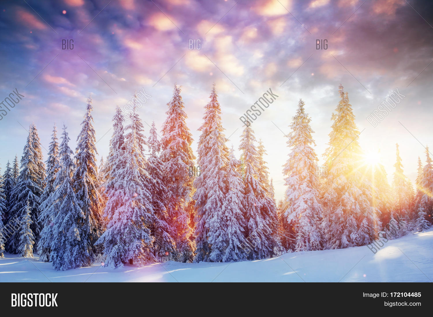 Mysterious Winter Image & Photo (Free Trial) | Bigstock