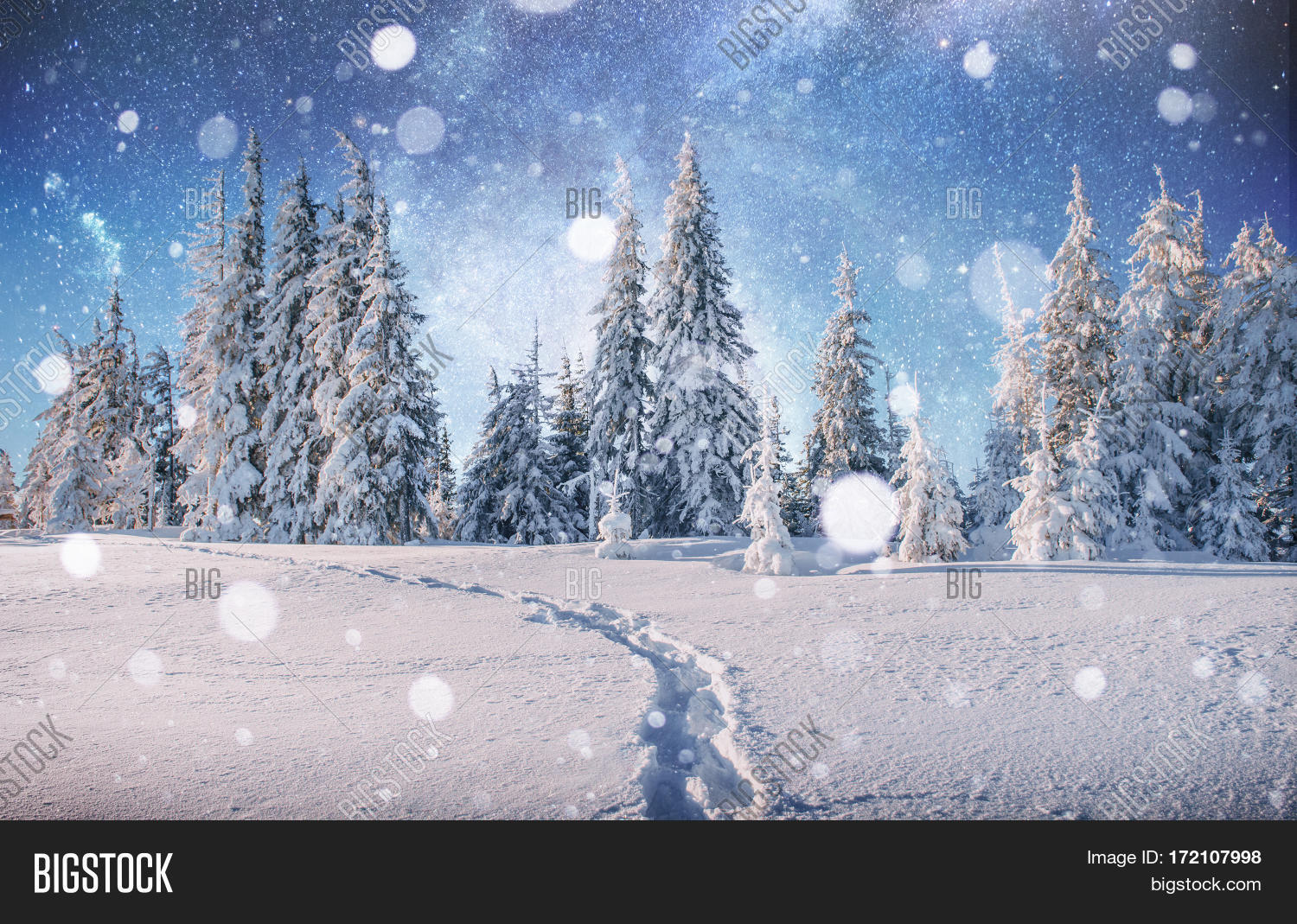 Starry Sky Winter Image & Photo (Free Trial) | Bigstock