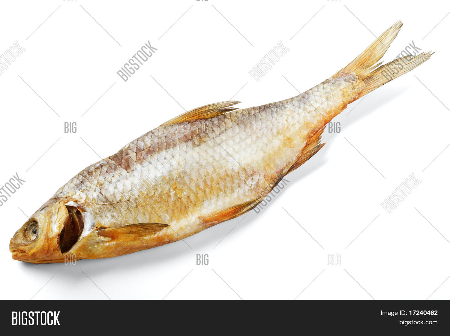 Dried Fish Image & Photo (Free Trial) | Bigstock