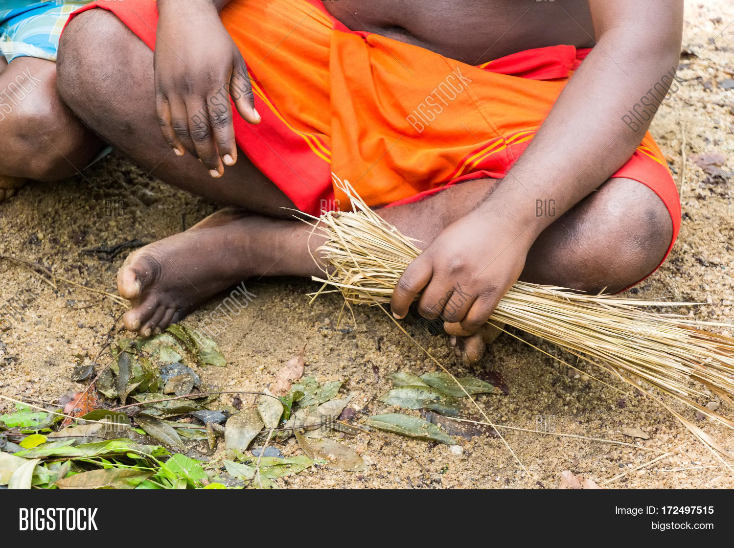 DABANA, SRI LANKA - Image & Photo (Free Trial) | Bigstock