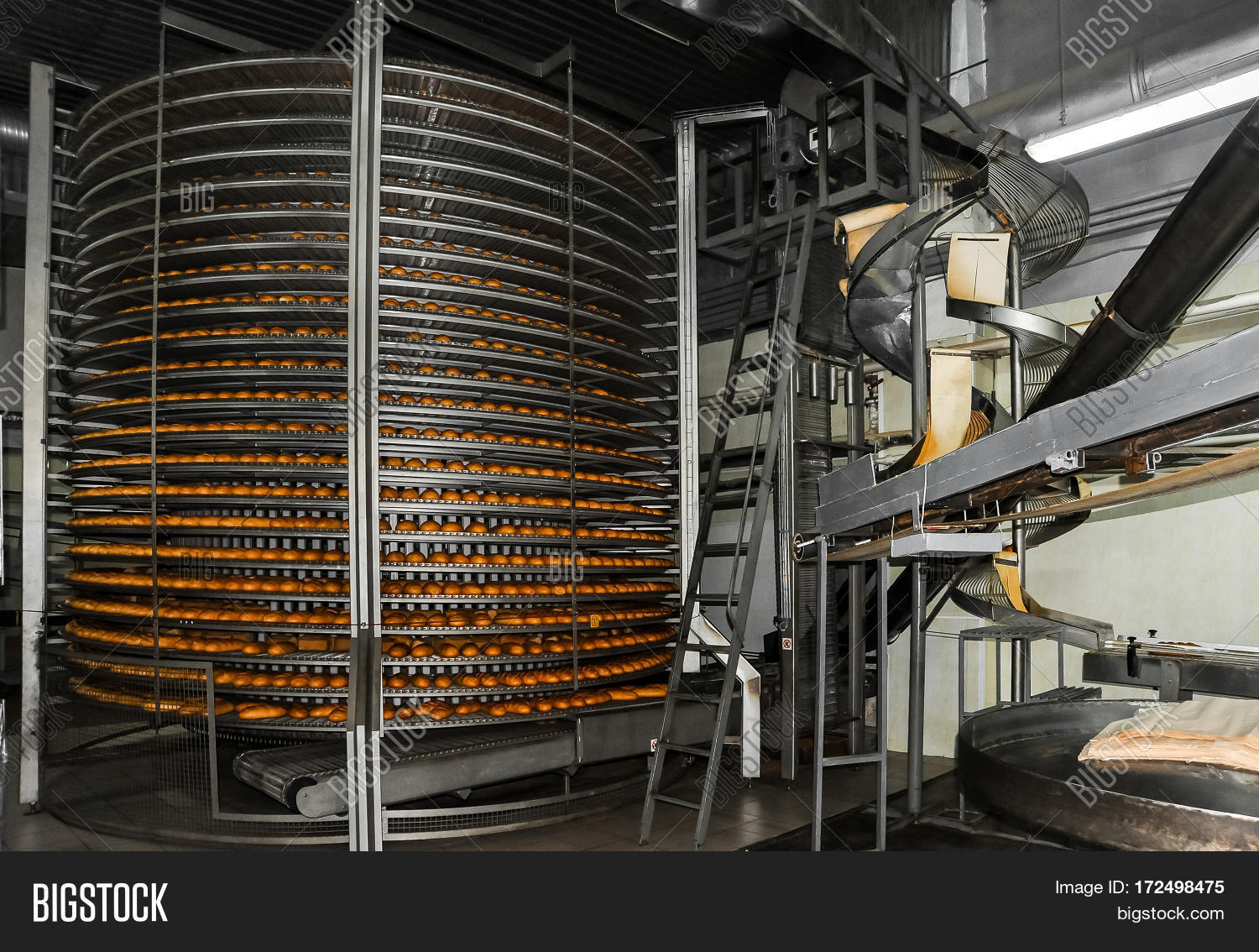 Production Bread Image & Photo (Free Trial) | Bigstock