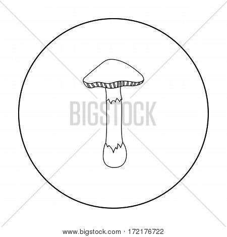 Toadstool Icon Vector & Photo (Free Trial) | Bigstock