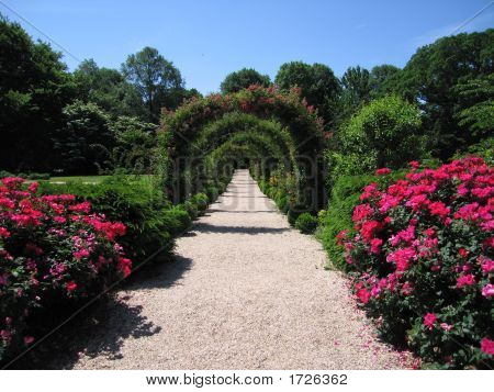 Rose Arches Walkway Image & Photo (Free Trial) | Bigstock