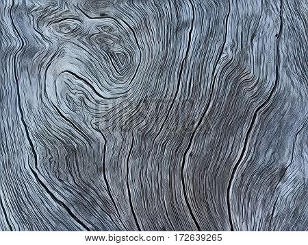 Silver Wood Texture Image & Photo (Free Trial) | Bigstock