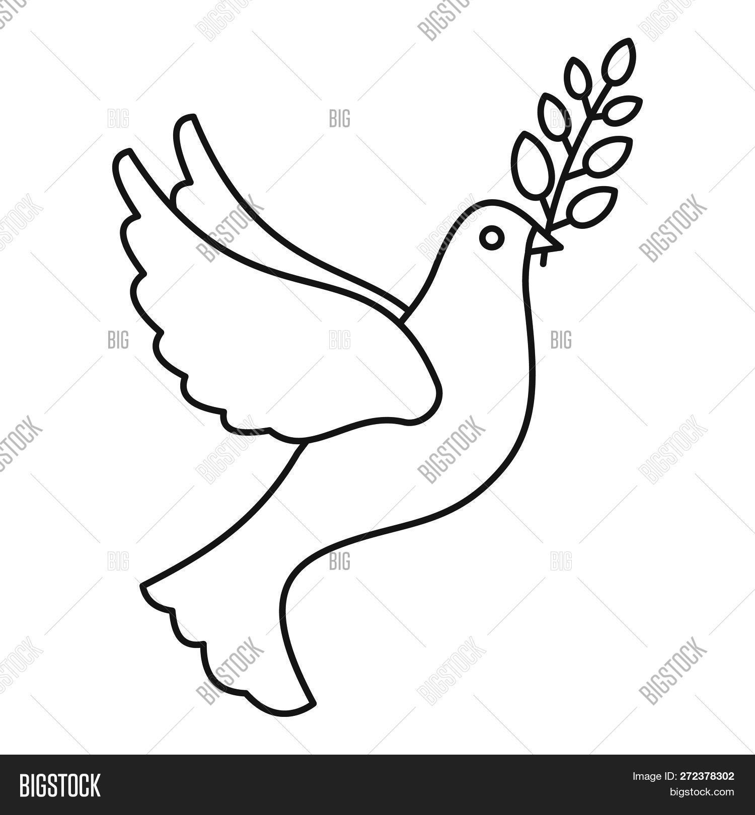Peace Pigeon Icon. Image & Photo (Free Trial) | Bigstock