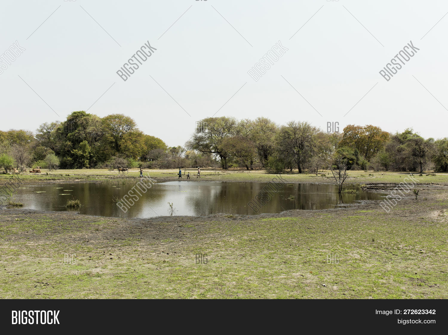 African Delta Water Image & Photo (Free Trial) | Bigstock