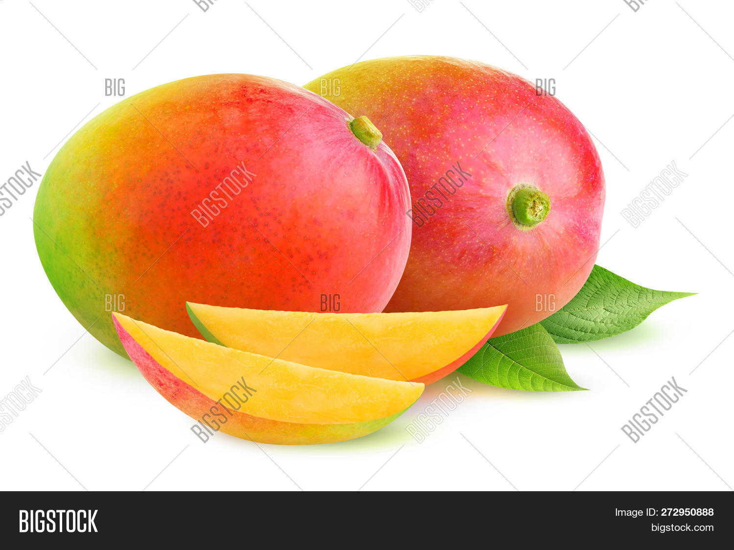 Isolated Mango. Two Image & Photo (Free Trial) | Bigstock