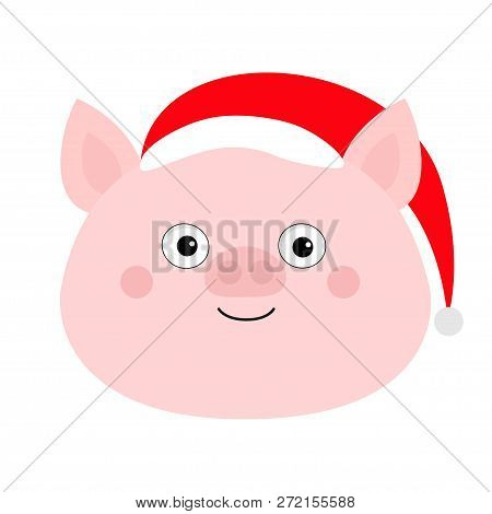 Pig Piglet Face Santa Vector & Photo (Free Trial) | Bigstock