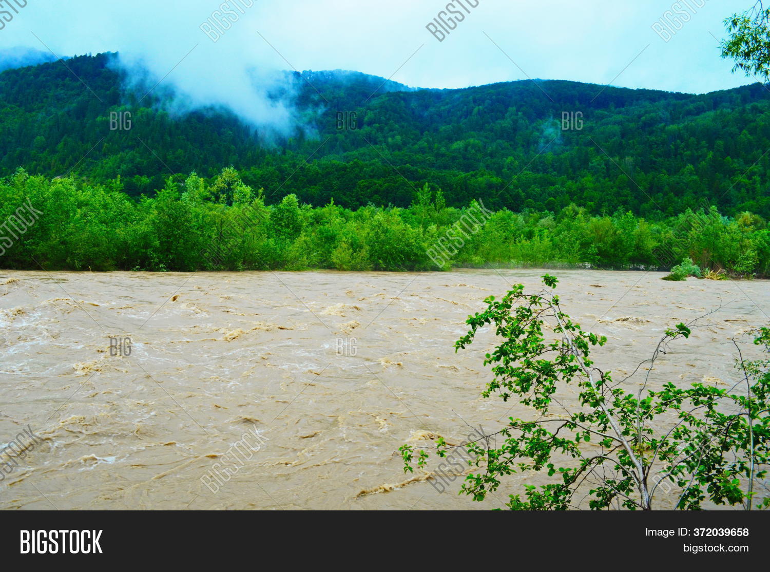 Dirty River Current Image & Photo (Free Trial) | Bigstock