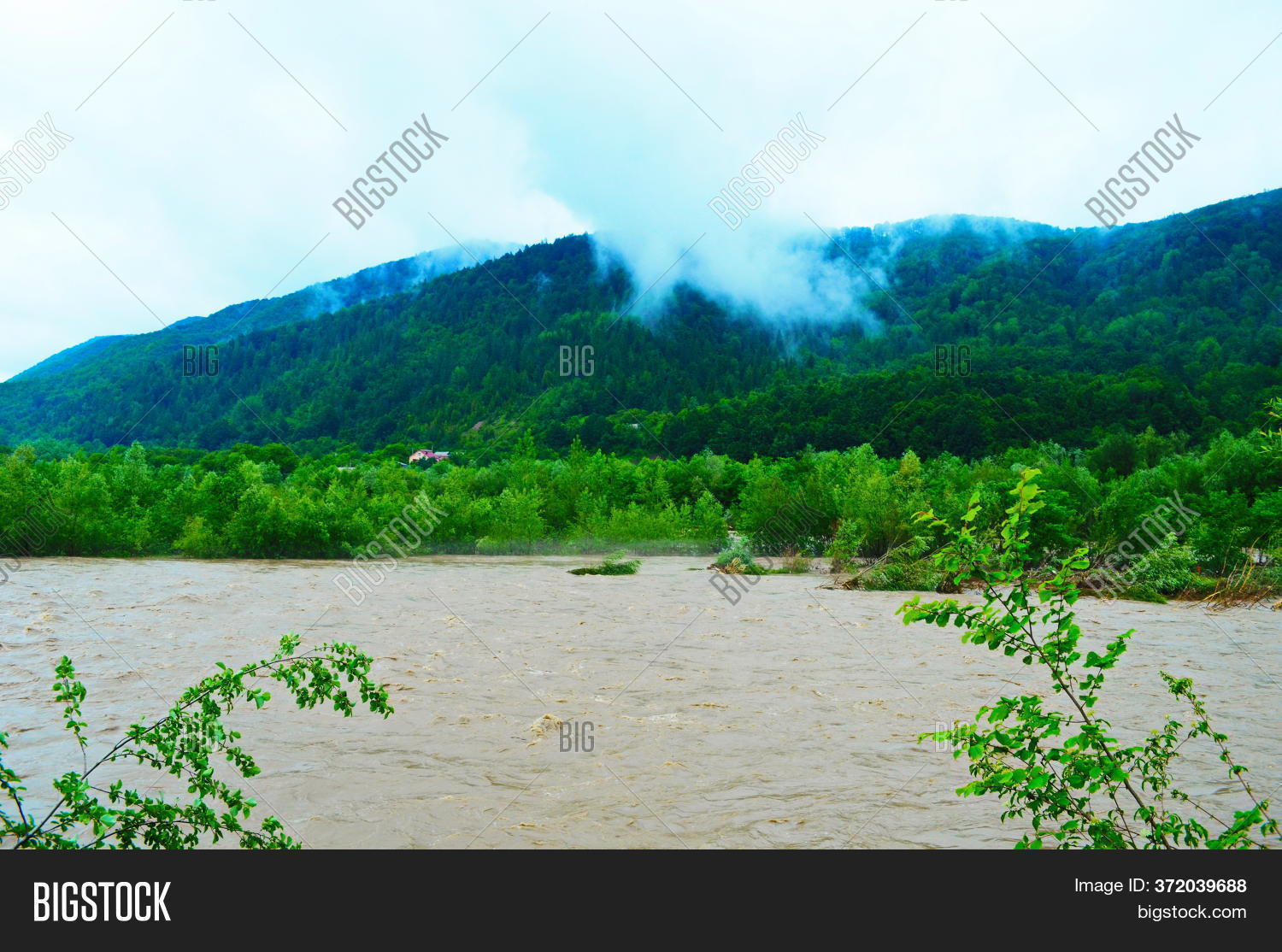 Dirty River Current Image & Photo (Free Trial) | Bigstock