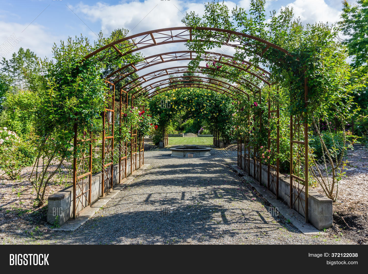 Arched Flower Trellis Image & Photo (Free Trial) | Bigstock